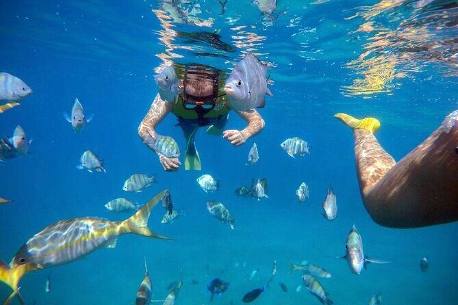 Sosua beach excursion with snorkeling included to Sosua Bay - A Practical Look at the Sosua Bay Snorkeling Tour