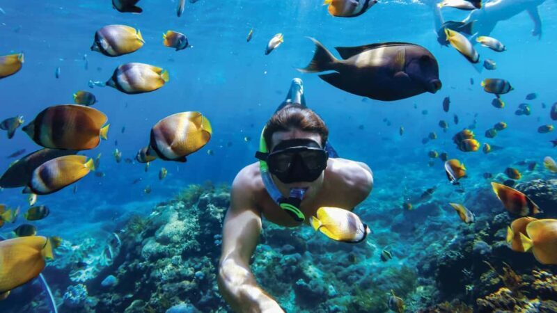 Sosúa: Catamaran Cruise with Snorkeling, Lunch, & Drinks - Food, Drinks, and the Onboard Atmosphere