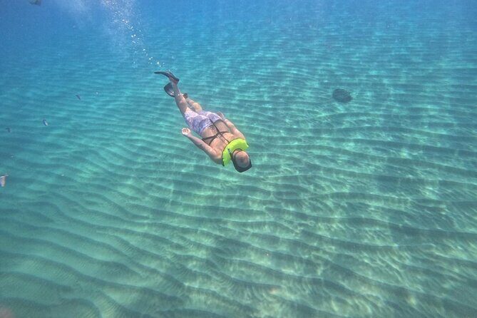 Sosua Snorkeling Adventure Tour with Guide and Gear Included - Who Will Love This Tour