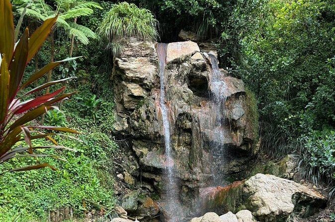 Soufriere Catamaran Excursion & Sapphire Falls Hike - Frequently Asked Questions