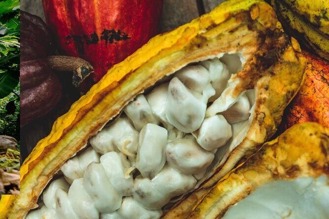 Soufriere vibes Tour ( pick up Rodney bay,St.Lucia) - A Deep Dive into the Soufriere Vibes Tour