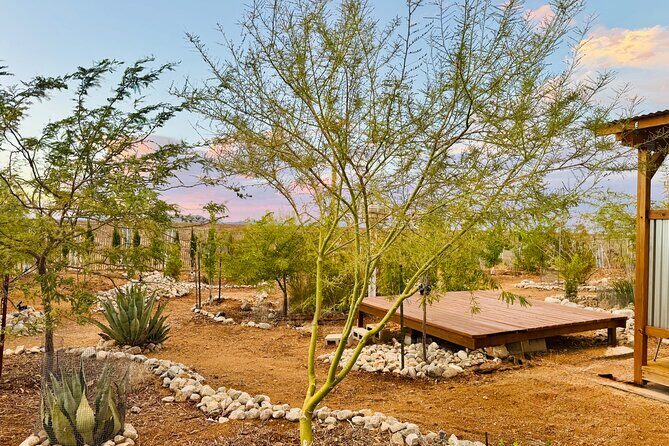 Soul Reconnection Retreat in Joshua Tree - Who Will Love This Experience?