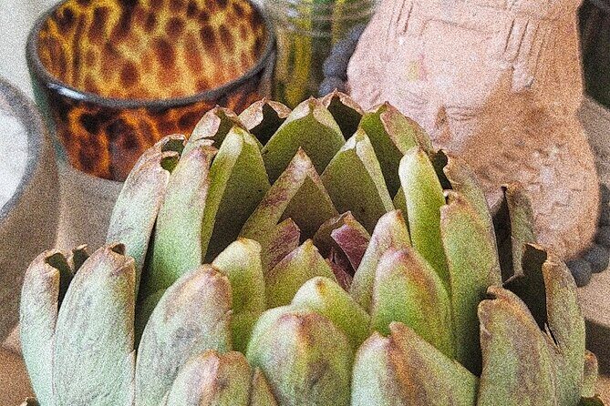 Soul Revitalization: Cacao Ceremony & Sound Healing in Mérida - Why This Experience Stands Out