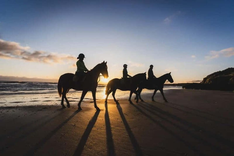 SoulRide: Horseback & Mindful Escape in Kissamos - Key Points