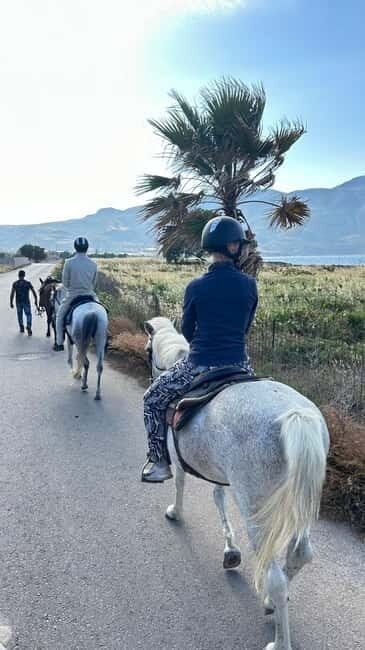 SoulRide: Horseback & Mindful Escape in Kissamos - An Authentic, Gentle Ride Through Crete’s Countryside