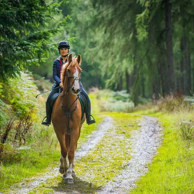 SoulRide: Horseback & Mindful Escape in Kissamos - What’s Included and What’s Not
