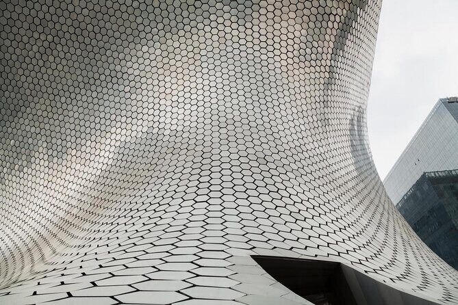 Soumaya Museum Private Tour - What to Expect During the Tour