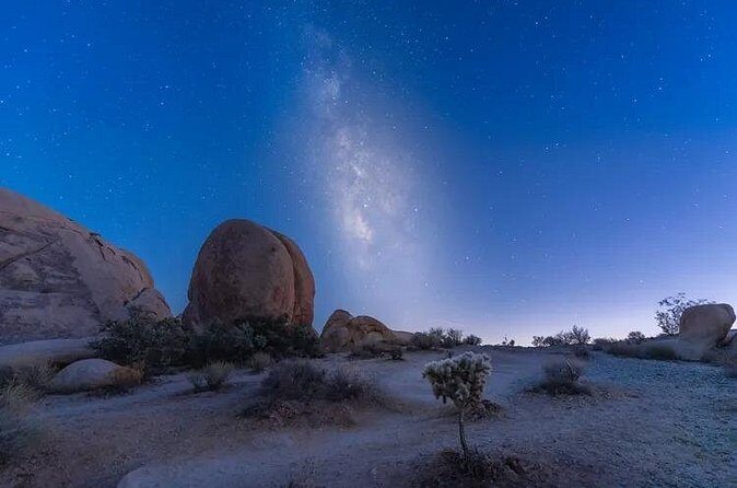 Soundbath Under The Stars-Joshua Tree - Why Travelers Love This Experience