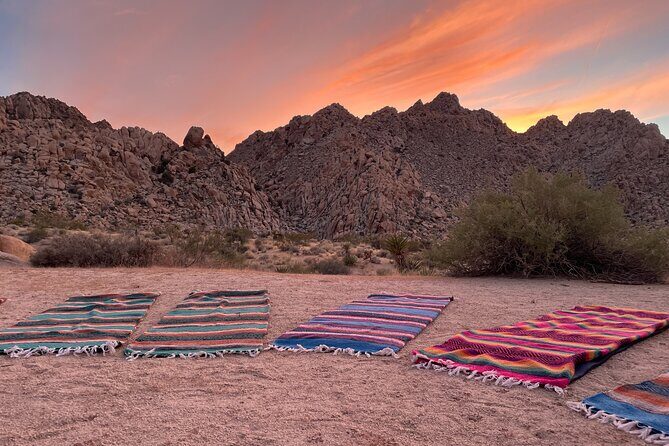 Soundbath Under The Stars-Joshua Tree - Practical Tips for Travelers
