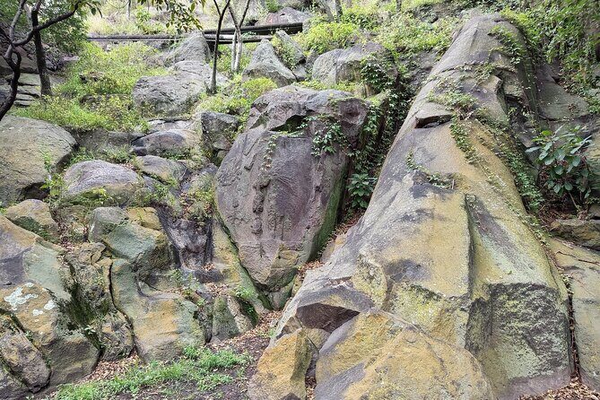 Sounds of Chapultepec Musical Journey through the History of Mexico - Who Should Consider This Tour?