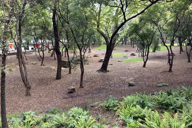 Sounds of Chapultepec Musical Journey through the History of Mexico - FAQs