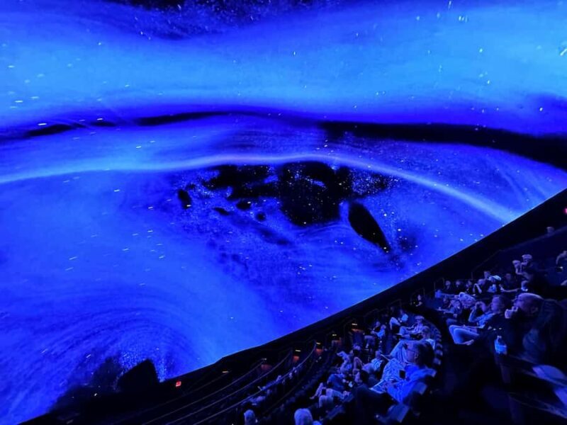 Sounds of the Ocean: The Immersive Experience - Tulsa - Key Points