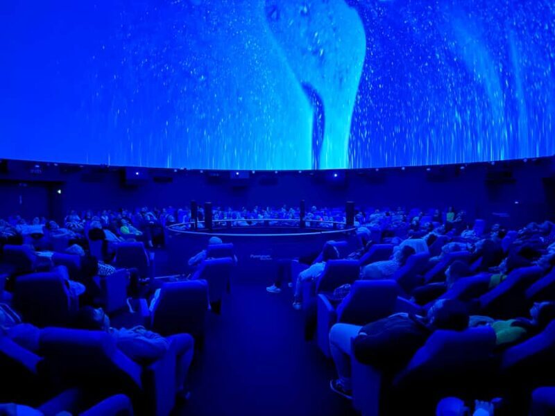 Sounds of the Ocean: The Immersive Experience - Tulsa - The Sum Up: Who Will Love This?