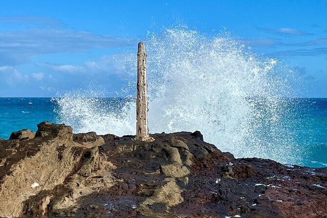 South and East Oahu Coastal Scenic Drive From Waikiki - Authentic Experience and Value