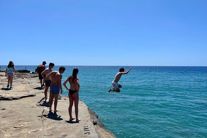 South and East Oahu Coastal Scenic Drive From Waikiki - Who Will Love This Tour?
