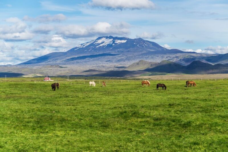 South Coast Classic: Full-Day Tour from Reykjavik - An In-Depth Look at the South Coast Classic Tour