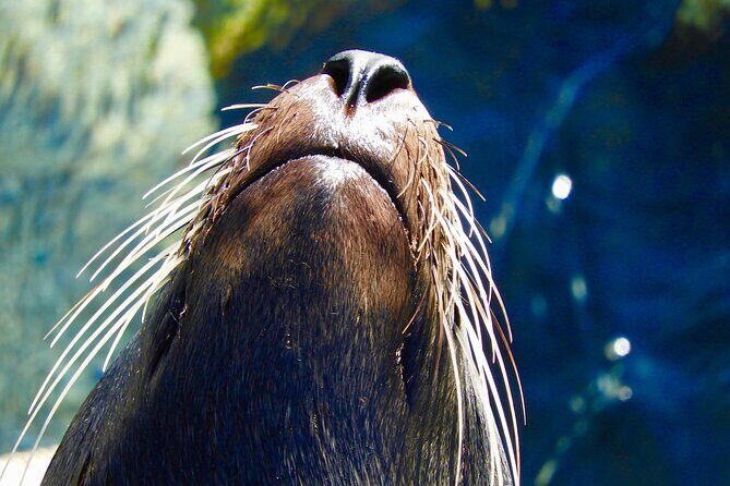South Coast Nature Tour - Final Thoughts: Who Will Love This Tour?