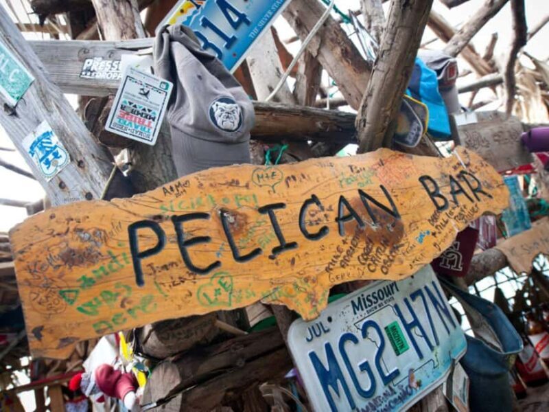 South Coast: Pelican Bar & Black River Safari Experience - The Sum Up