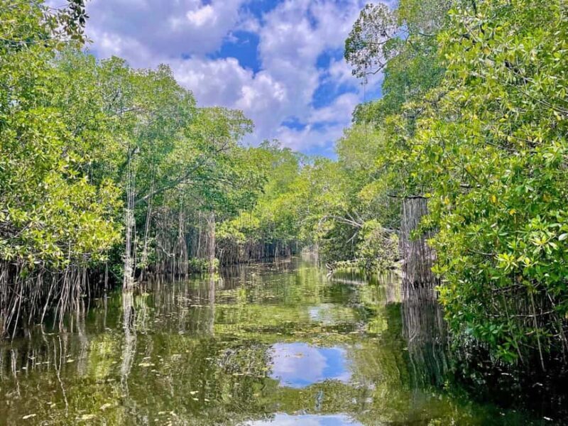 South Coast: Pelican Bar & Black River Safari Experience - FAQ