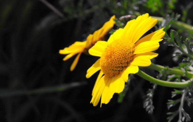 South Coast Private Nature Walking Tour with Transport - Final Thoughts