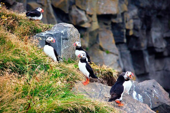 South Coast Small-Group Tour from Reykjavik - Final Thoughts