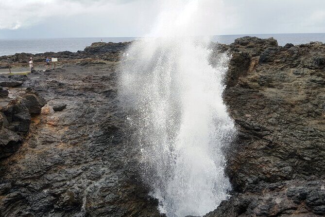 South Coast, Waterfals, Tempels, Kiama Blowhole Private Tour - Final Thoughts