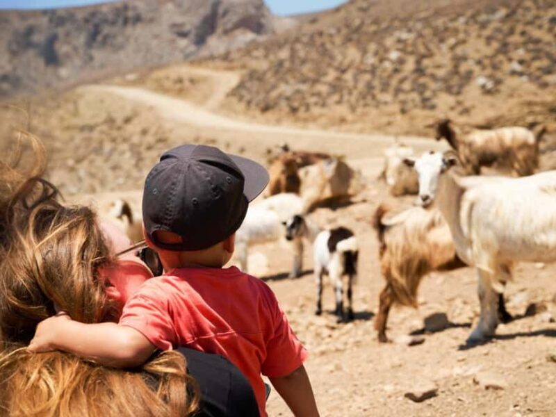 South Crete The Best Jeep Safari - Practical Considerations