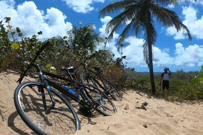 South East Sunrise (or later) E-Bike Tour - Who’s This Tour Best For?