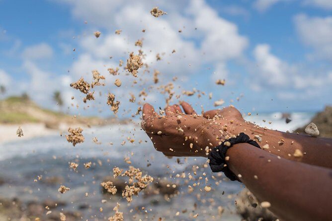 South East Sunrise (or later) E-Bike Tour - FAQs