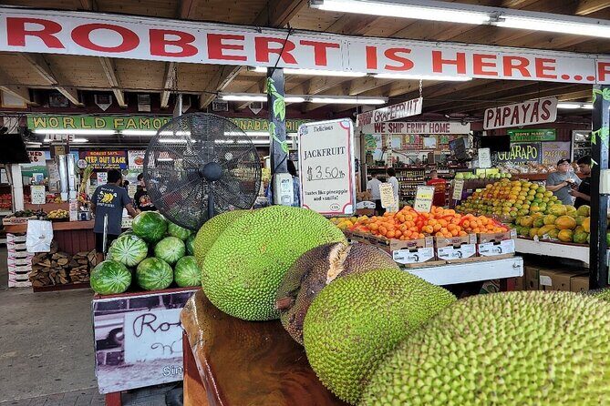 South Florida's Hidden Gems: Wine, Castle, & Tropical Fruits - Exploring the Itinerary in Depth