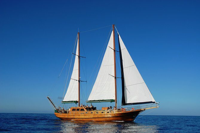 South Fuerteventura VIP Cruise on board a Turkish Gulet - Key Points