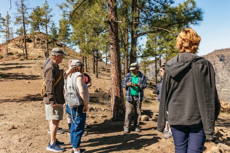 South Gran Canaria: Off-Road Valleys & Villages Jeep Tour - Key Points