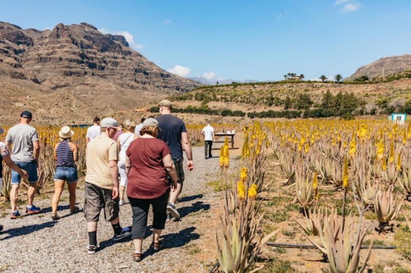 South Gran Canaria: Off-Road Valleys & Villages Jeep Tour - A Closer Look at the Experience