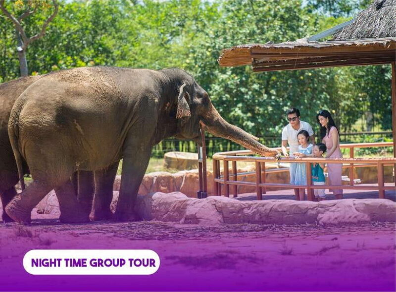 South Hoi An River Safari With Candle-lit Beach Dinner - An In-Depth Look at the Experience