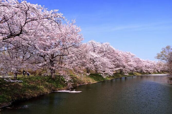 South Ibaraki Tour - Key Points