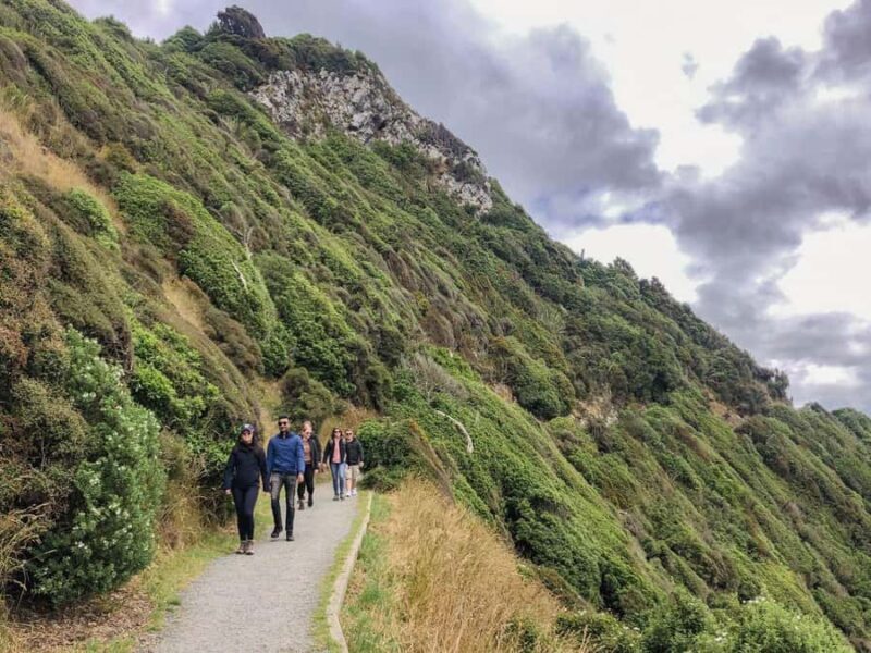 South Island Highlights: 9-Day New Zealand Adventure - Franz Josef: Glaciers and Cultural Craft