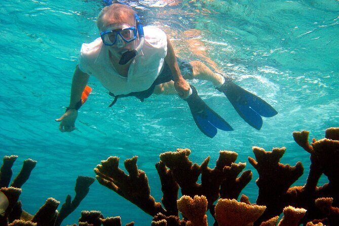 South island tour and Snorkel combo - The Itinerary: A Closer Look at What You’ll See and Do