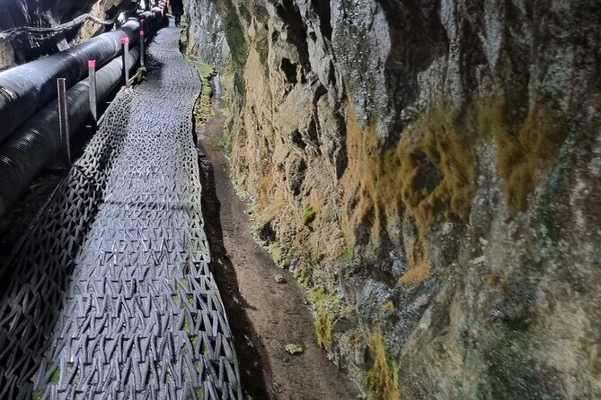 South Korea Demilitarized Zone, DMZ Tour from Seoul - Practical Considerations