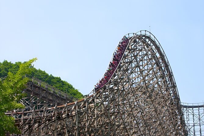 South Korea Everland Theme Park Ticket - The Sum Up: Who Will Love This Experience?