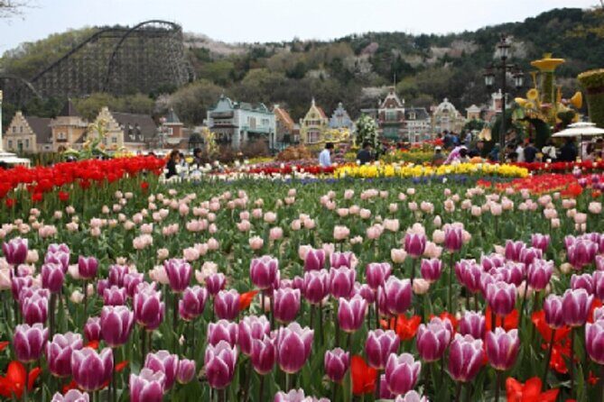 South Korea Everland Theme Park Ticket - FAQ: Your Practical Questions Answered