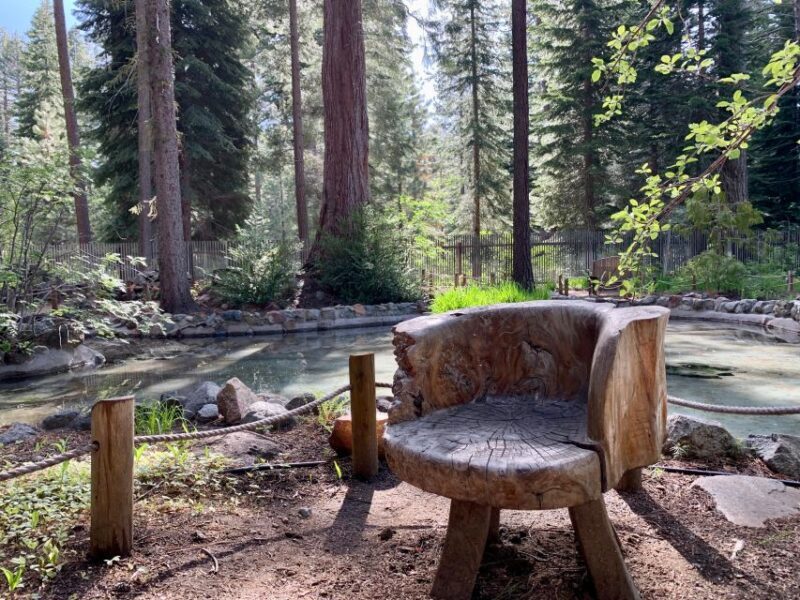 South Lake Tahoe: Tallac Historic Site Grand Estates Tour - FAQ: Your Questions Answered