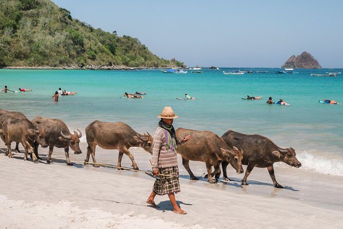 South Lombok Beaches Tour with Japanese-Speaking Guide - The Sum Up
