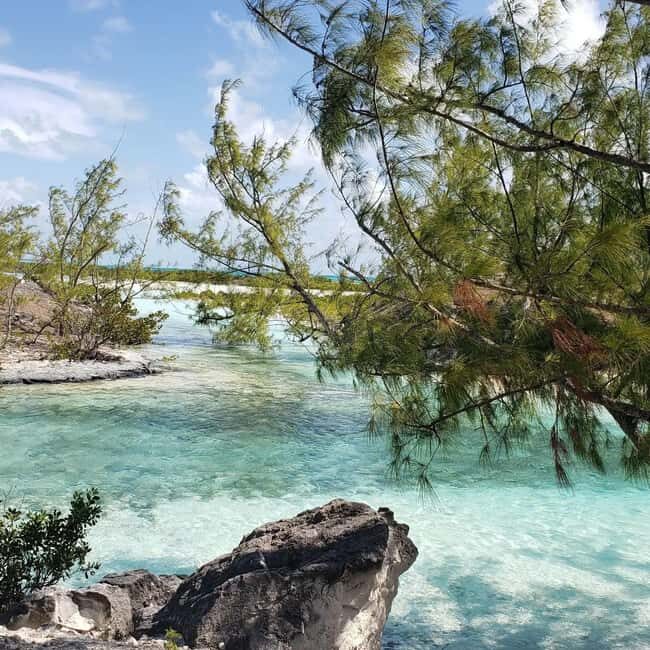 South Long Island 3 Hour Guided Land Tour - The Sum Up