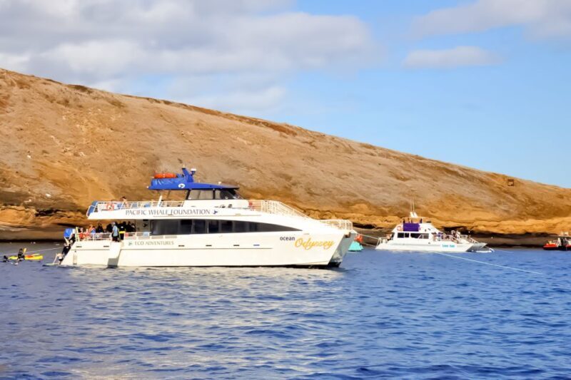 South Maui: Eco Friendly Molokini and Turtle Town Tour - The Sum Up: Who Is This Tour Best For?