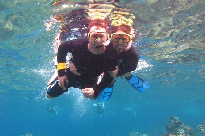 South Maui Kayak and Snorkel Tour with Turtles - Authentic Encounters in Maui’s Waters