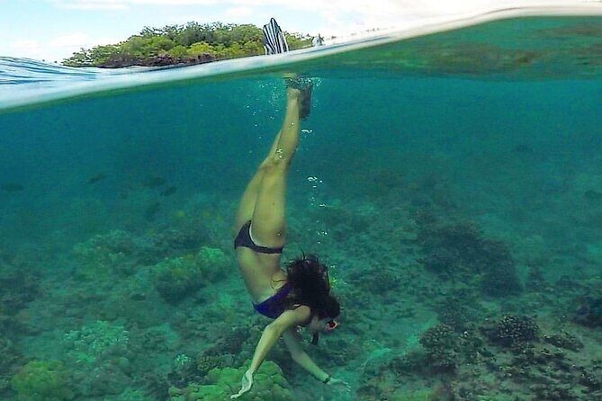South Maui Kayak and Snorkel Tour with Turtles - The Sum Up