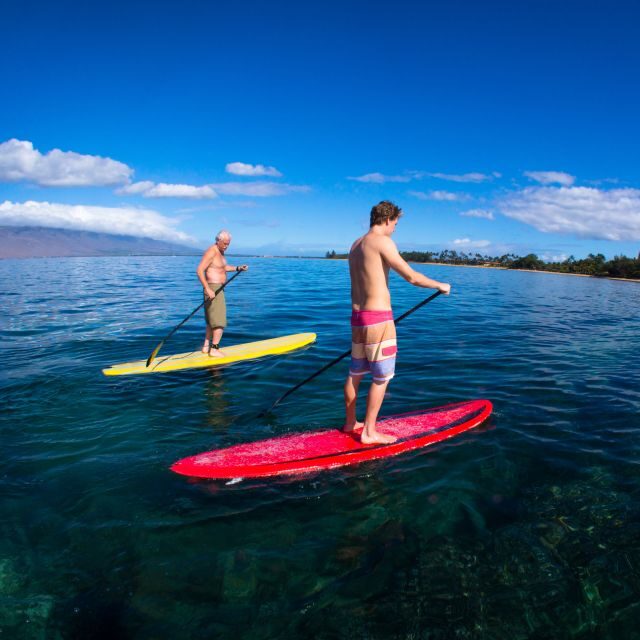 South Maui: Makena Bay Stand-Up Paddle Tour - The Sum Up: Is it worth it?