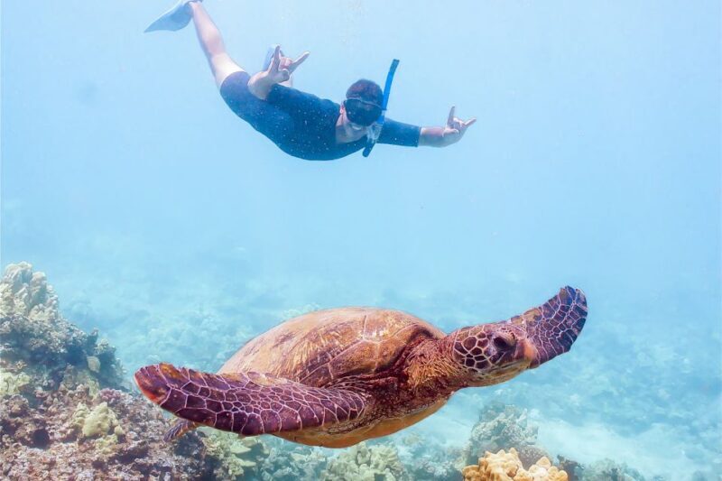 South Maui: Molokini Snorkeling Adventure - The Second Stop: Turtle Town