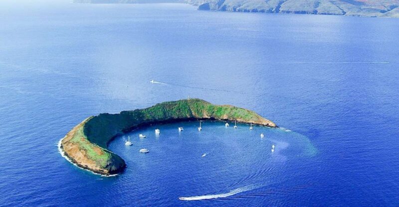 South Maui: Molokini & Turtle Town Snorkeling Tour with Meal - Introduction: A Snorkeler’s Dream on Maui