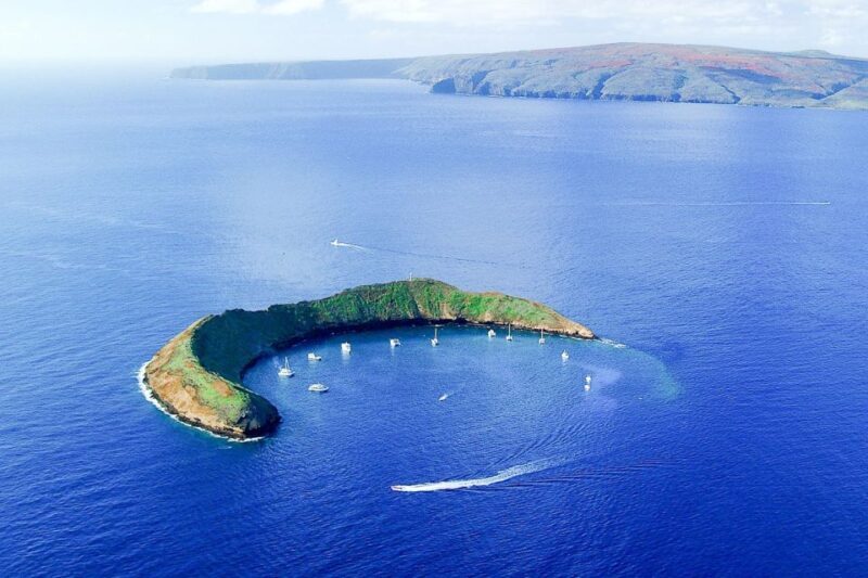 South Maui: Molokini & Turtle Town Snorkeling Tour with Meal - Authentic Experiences and Real Feedback